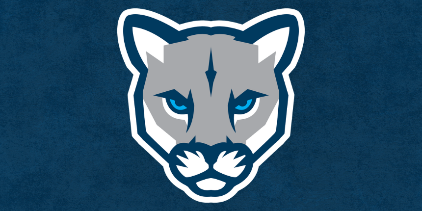 Women’s Hockey Playoffs — MRU Cougars vs. Manitoba Bisons / Events at ...